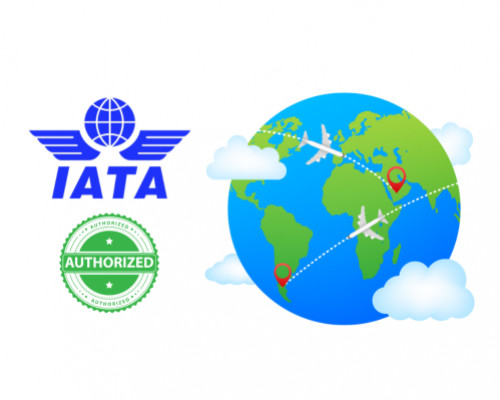 Comprendre l'Exception UN 3091 PI 970 Section II